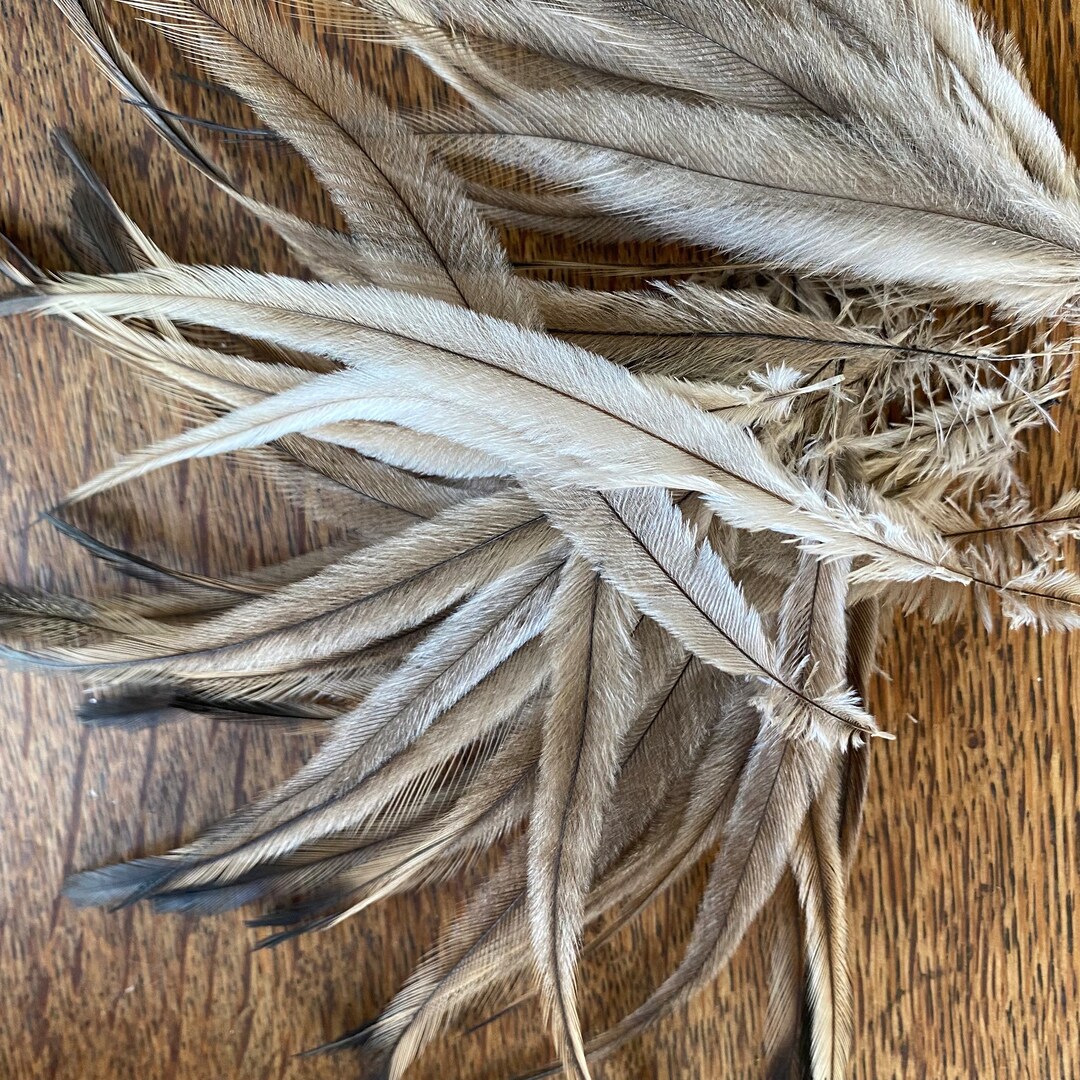 Hair Feather Extensions DIY Feather Earrings Jewellery Making Millinery ...