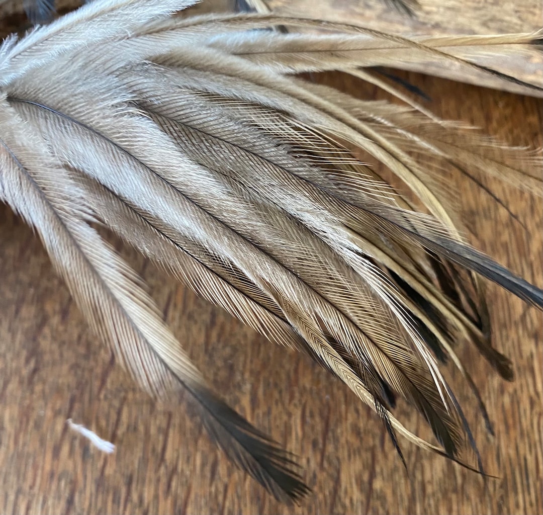 Natural Emu Feathers DIY Feather Earrings Hair Feather Extensions Hat Making Millinery Feathers ...