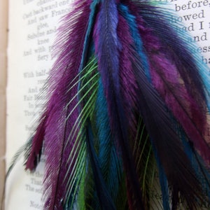 Feathers, Emu Feathers, Millinery Hat Making, Peacock Feathers, Hair ...