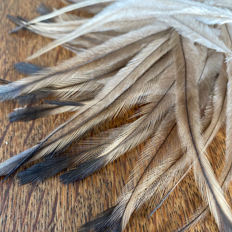 Craft Feathers - Etsy