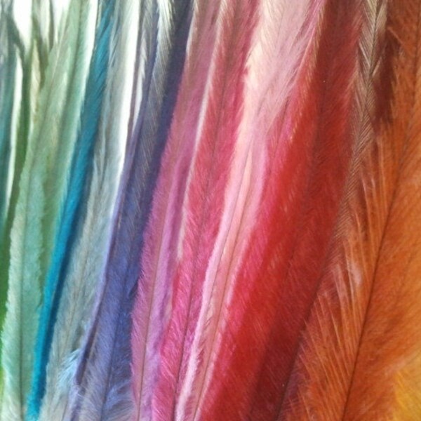 Emu Feathers - Etsy
