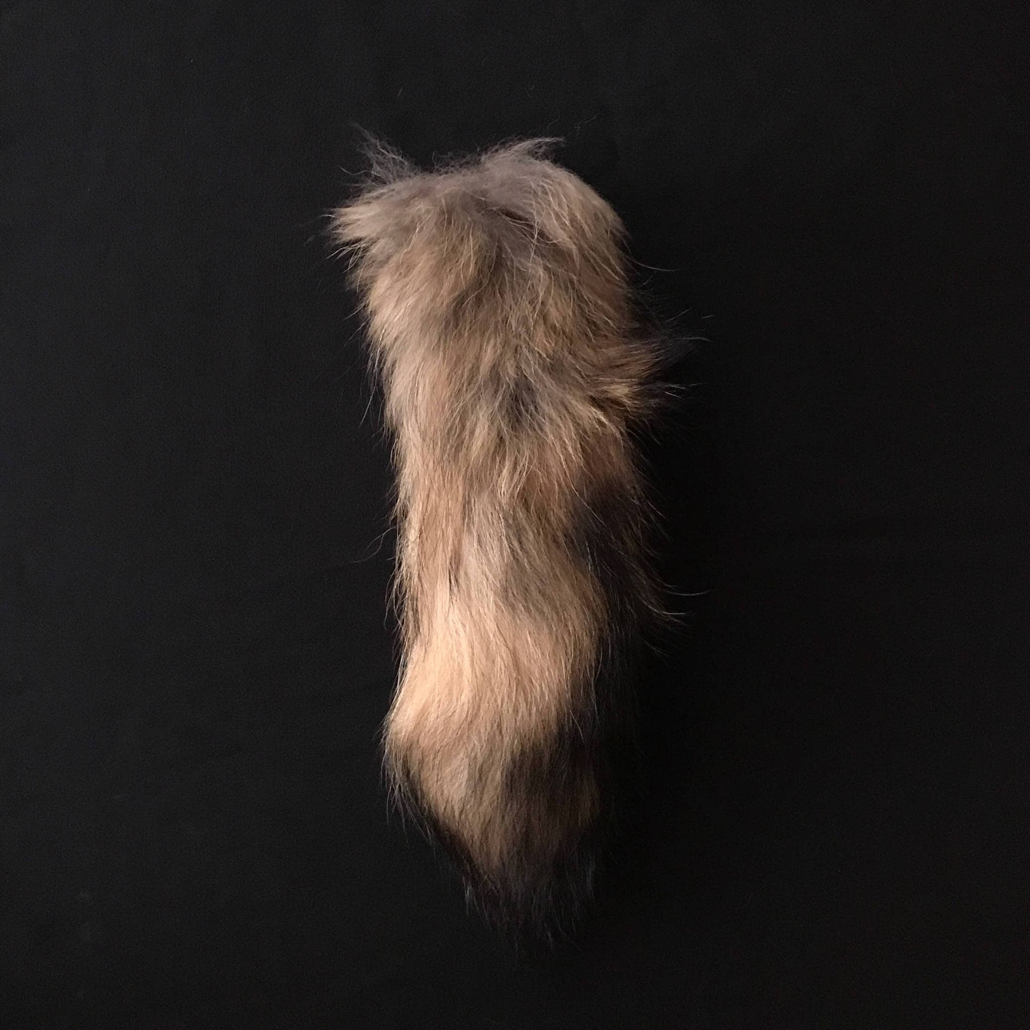 Russian RACCOON Fur Tail Fur Scraps Supplies RT12 Arctic Store - Etsy