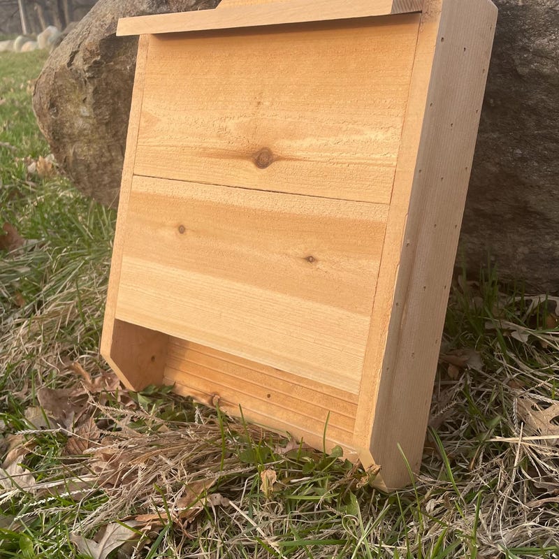 Hanging Insect Boxes - Etsy