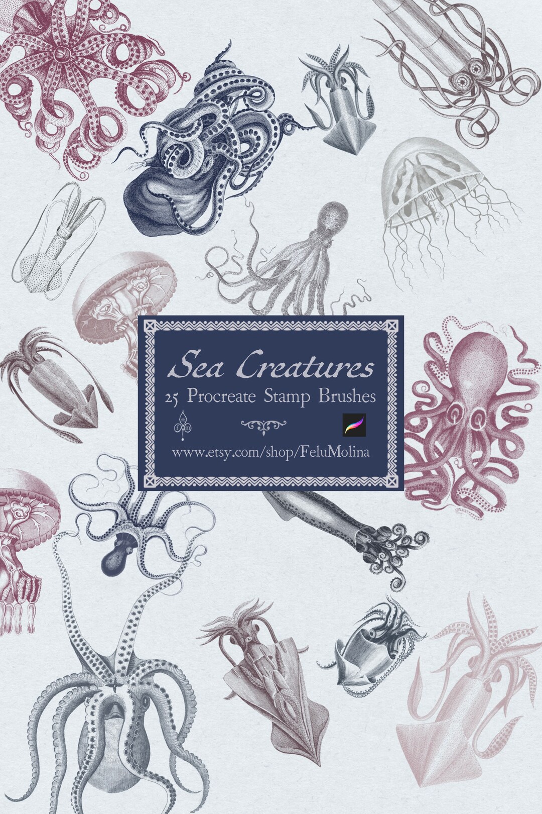 Sea Creatures Procreate Brushes - Octopus, Jellyfishes and Squids ...