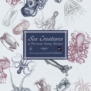Sea Creatures Procreate Brushes - Octopus, Jellyfishes and Squids ...