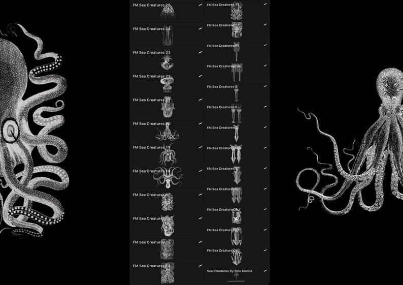 Sea Creatures Procreate Brushes - Octopus, Jellyfishes and Squids ...