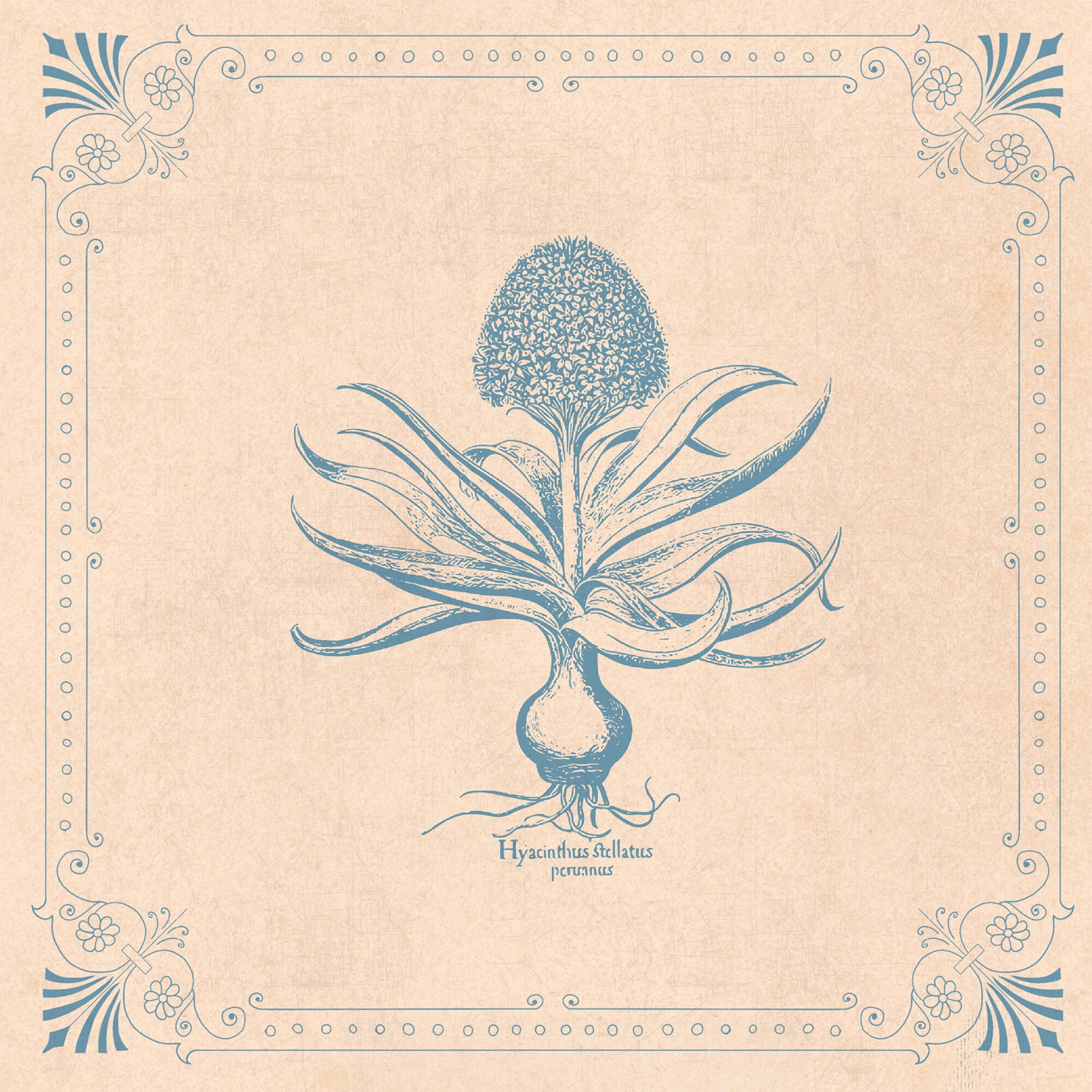 Printable Botanical Art Digital Botanical Print Vintage Flower ...