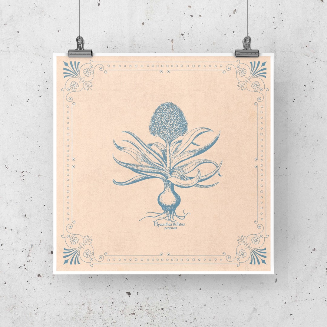 Printable Botanical Art Digital Botanical Print Vintage Flower ...