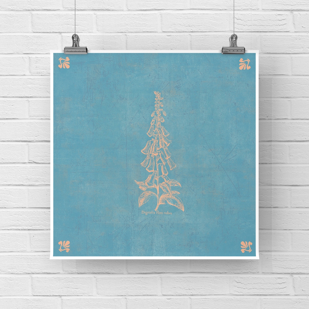 Printable Botanical Art Digital Botanical Print Vintage Flower ...