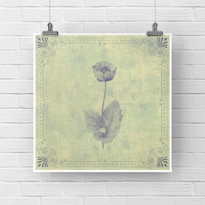 Printable Botanical Art Digital Botanical Print Vintage Flower ...
