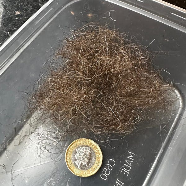 Merkin Pubic Wig - Etsy