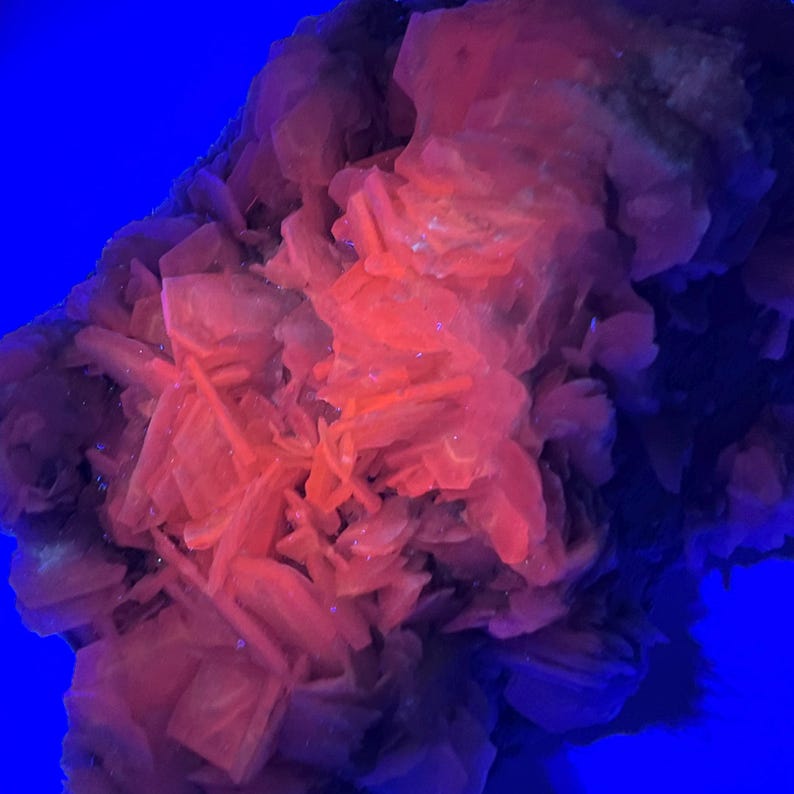 UV Reactive Pink Fluorescent Calcite ‘desert Rose’ (petals Calcite ...