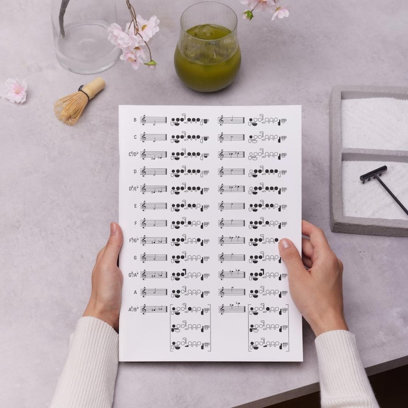 Flute Fingering Chart: Color-coded Guide for Beginners to Advanced - Etsy