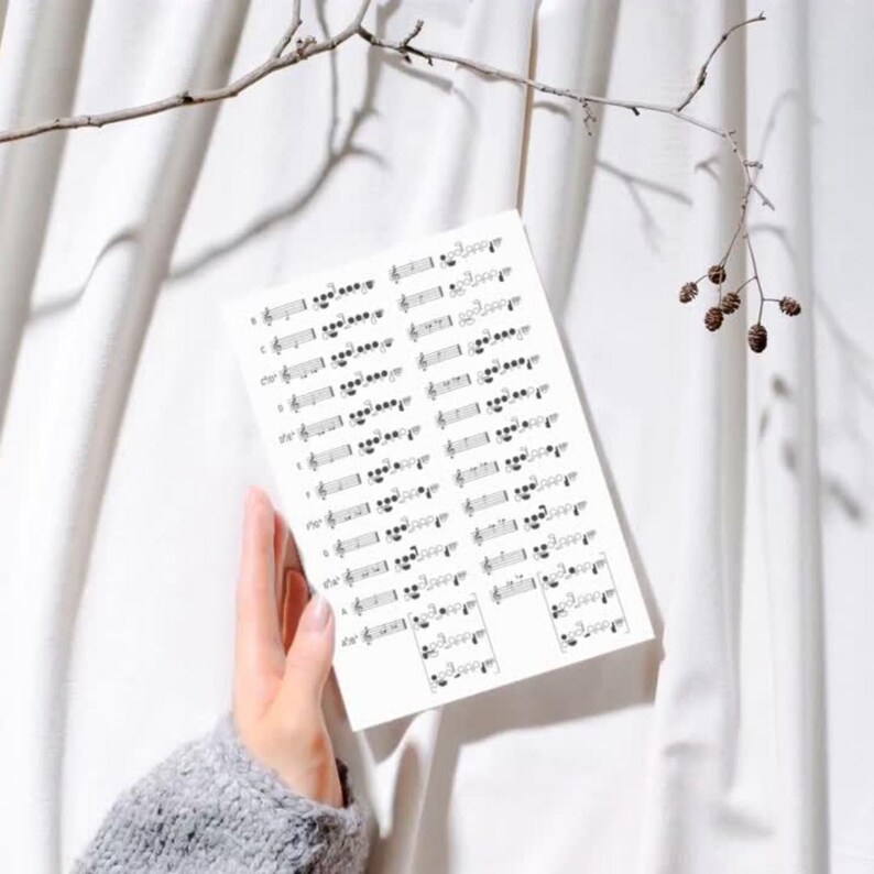 Flute Fingering Chart: Color-coded Guide for Beginners to Advanced - Etsy