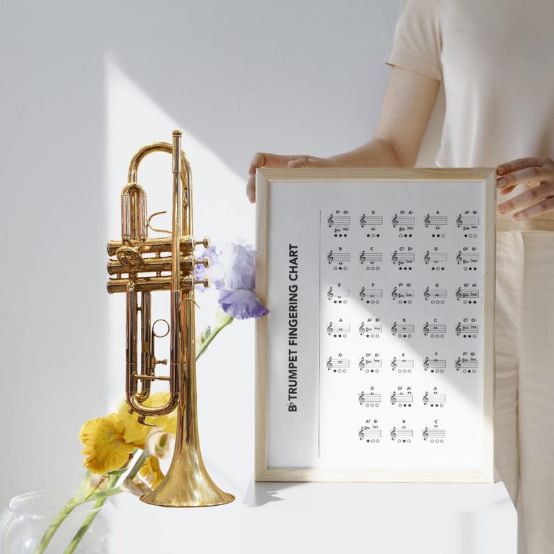 Trumpet Fingering Chart: Beginner Notes and Valve Combinations - Etsy