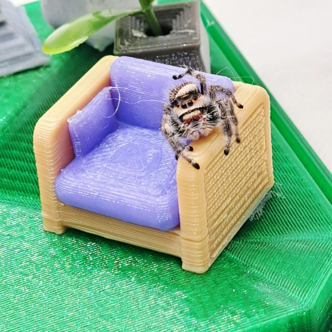 Jumping Spider Furniture ~ *medium* Garden Chair - Etsy