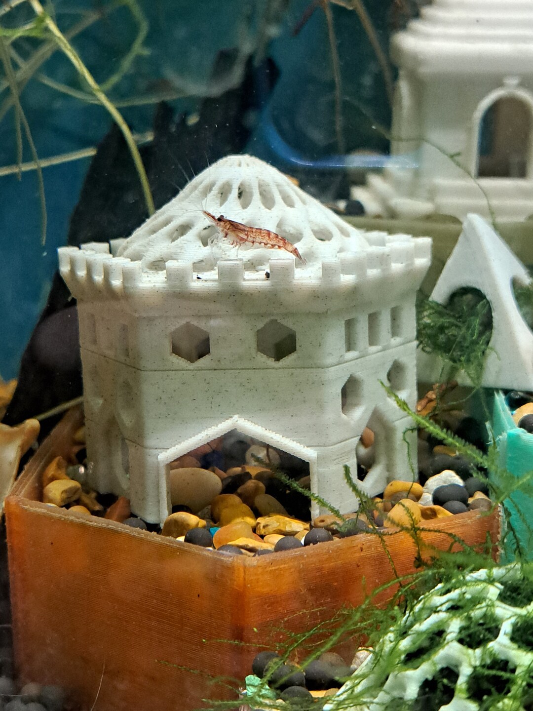 Shrimp Decor ~ Hexagon Castle ~ Moss Holder - Etsy
