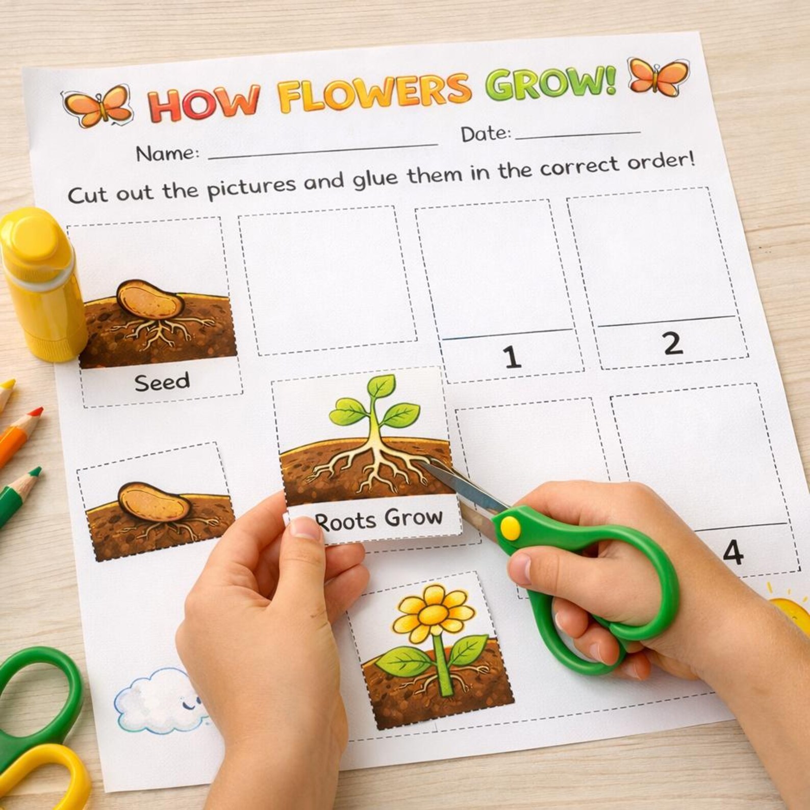 Kindergarten Plant Life Cycle Worksheets | Flower Growth, Needs (PDF ...