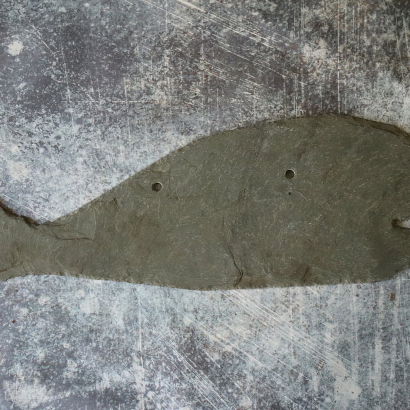 Whale Cut Out - Etsy