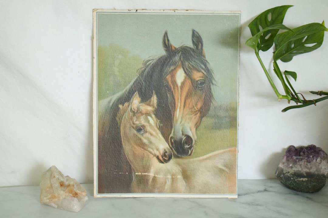 The Sackett and Wilhelm Co Horse Lithography Print - Etsy