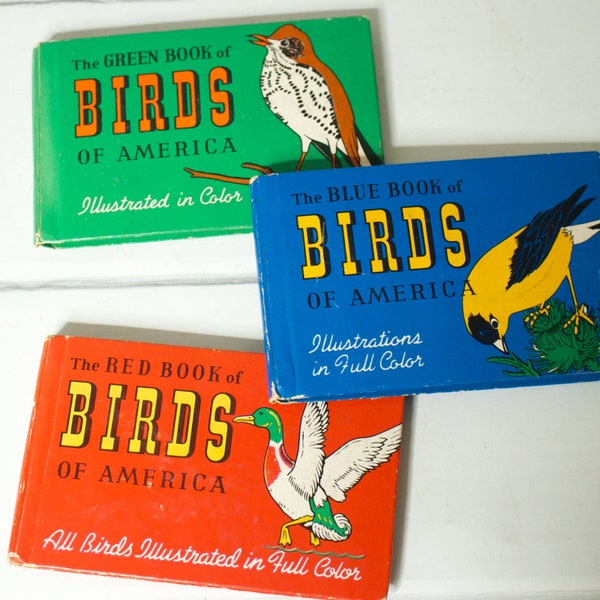 Bird Books - Etsy
