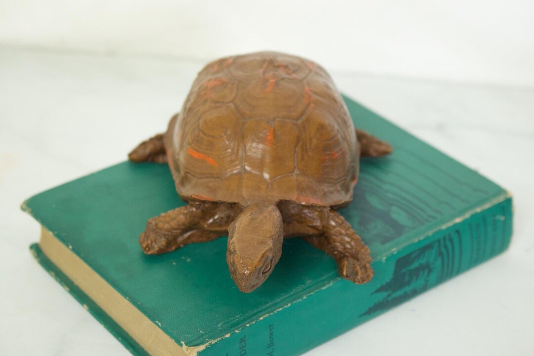 Cool Vintage Box Turtle Figurine- Realistic Turtle - Etsy