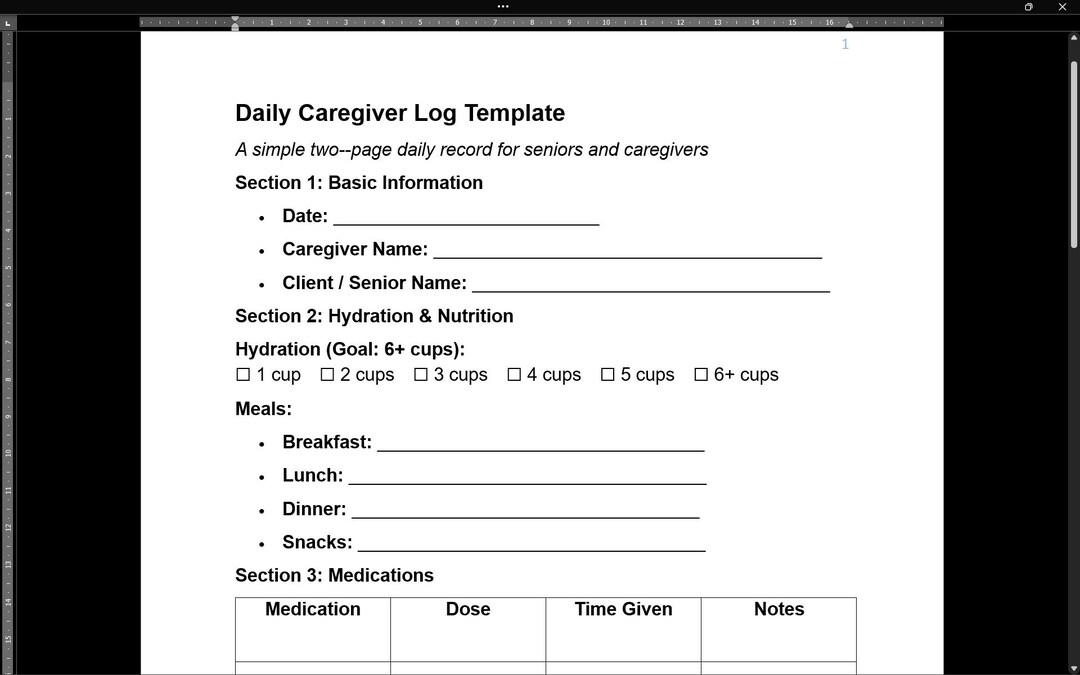 Daily Caregiver Log (two‑page Printable Template) - Etsy