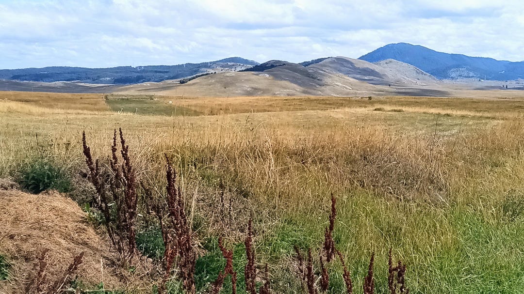 Mountain Plateau Wall Art Printable – Grassy Landscape With Wildflowers ...