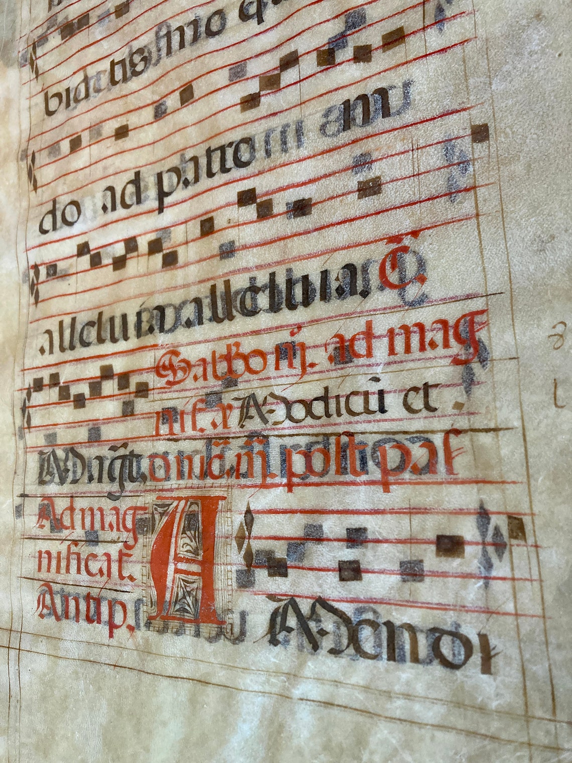 Antique Illuminated Manuscript Page Liturgical Music Antiphonal Page on ...