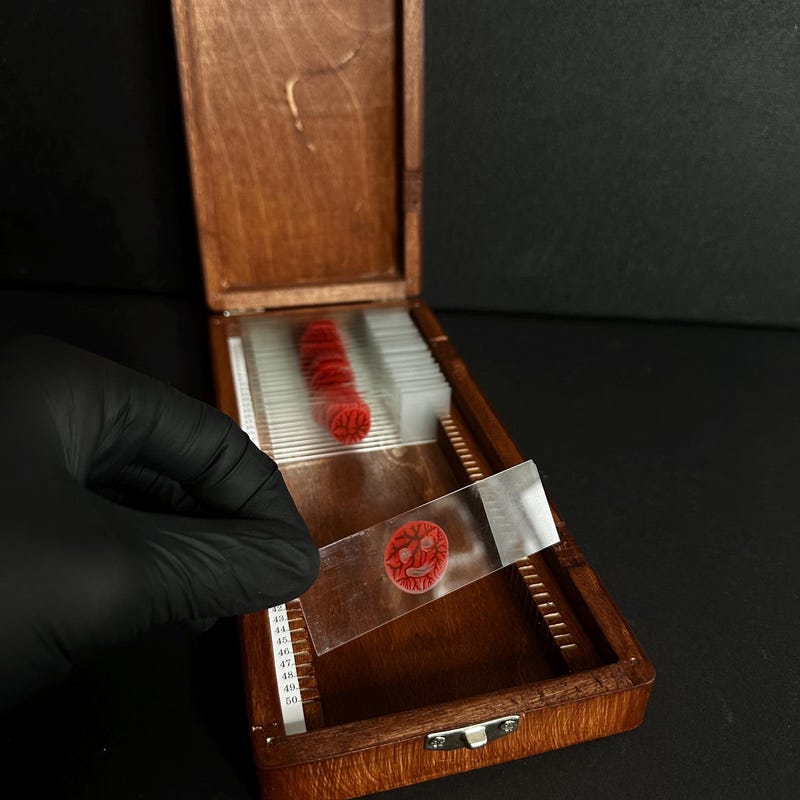 Dexter Blood Slide Box - Etsy