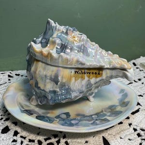 Antique SHELL Royal Bayreuth DISH Bowl With Tray Porcelain Conch Shell ...