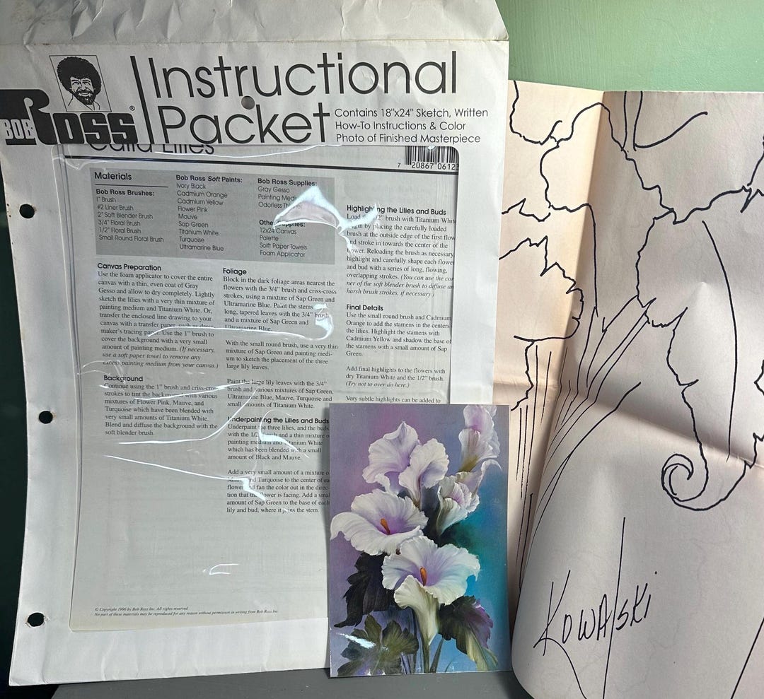 Vintage Paint Like BOB ROSS Instructional 18x24 Sketch, Written Photo ...