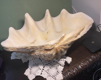 Giant Clam Shell Prop