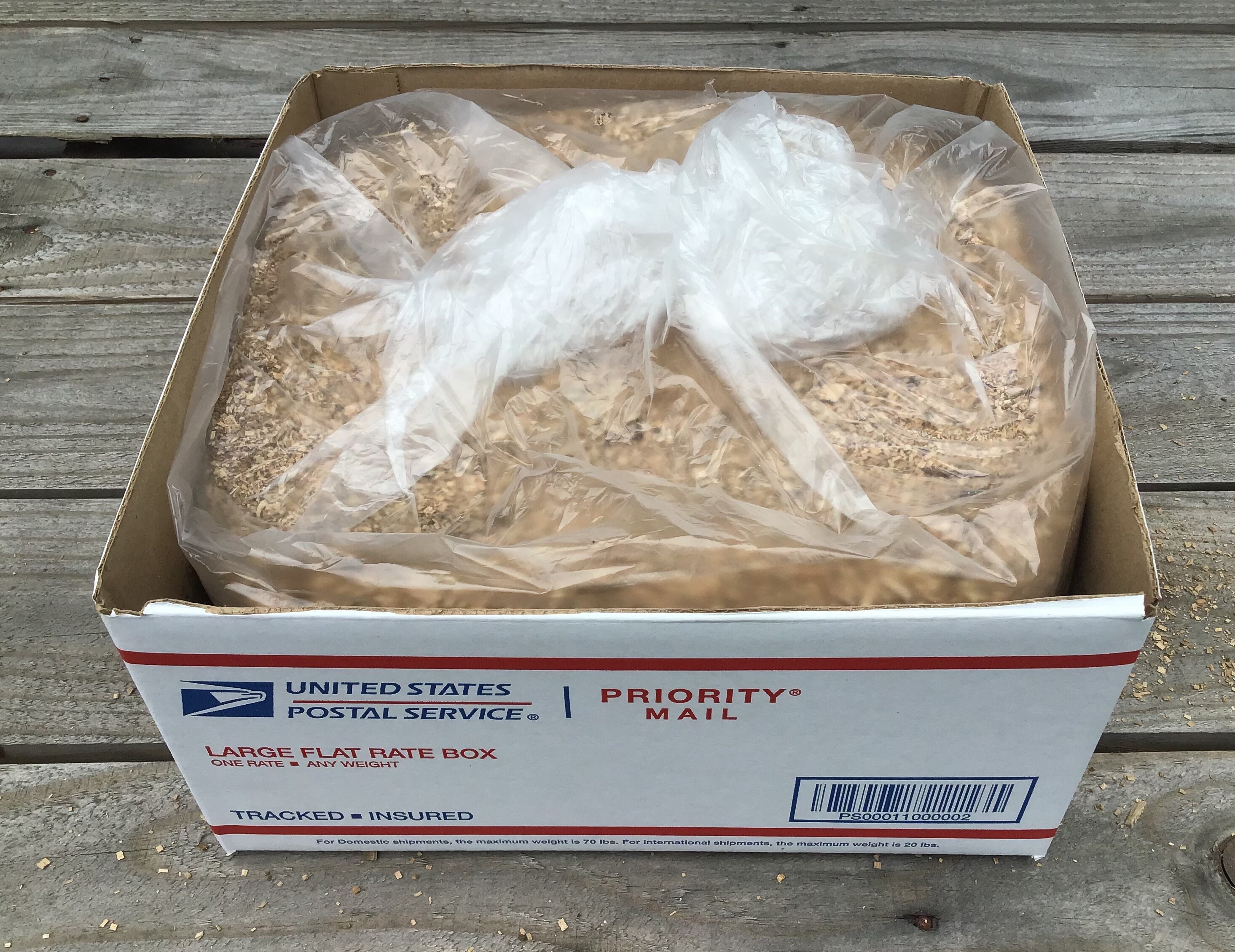 10 Lb Chemical-free Sawdust, Kentucky Amish Sawmill - Etsy
