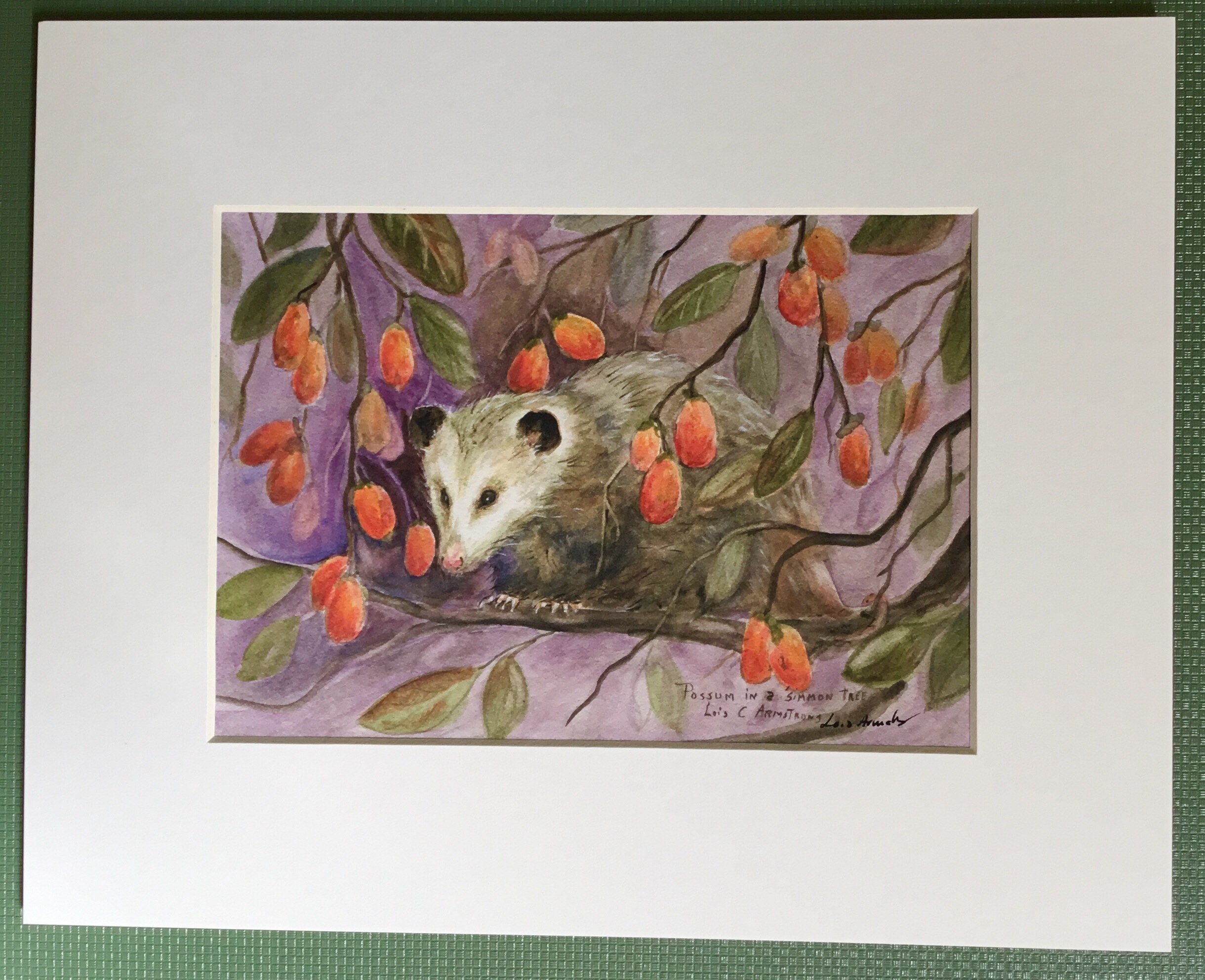 Opossum Print Possum in a Simmon Tree 5 x 7 in | Etsy