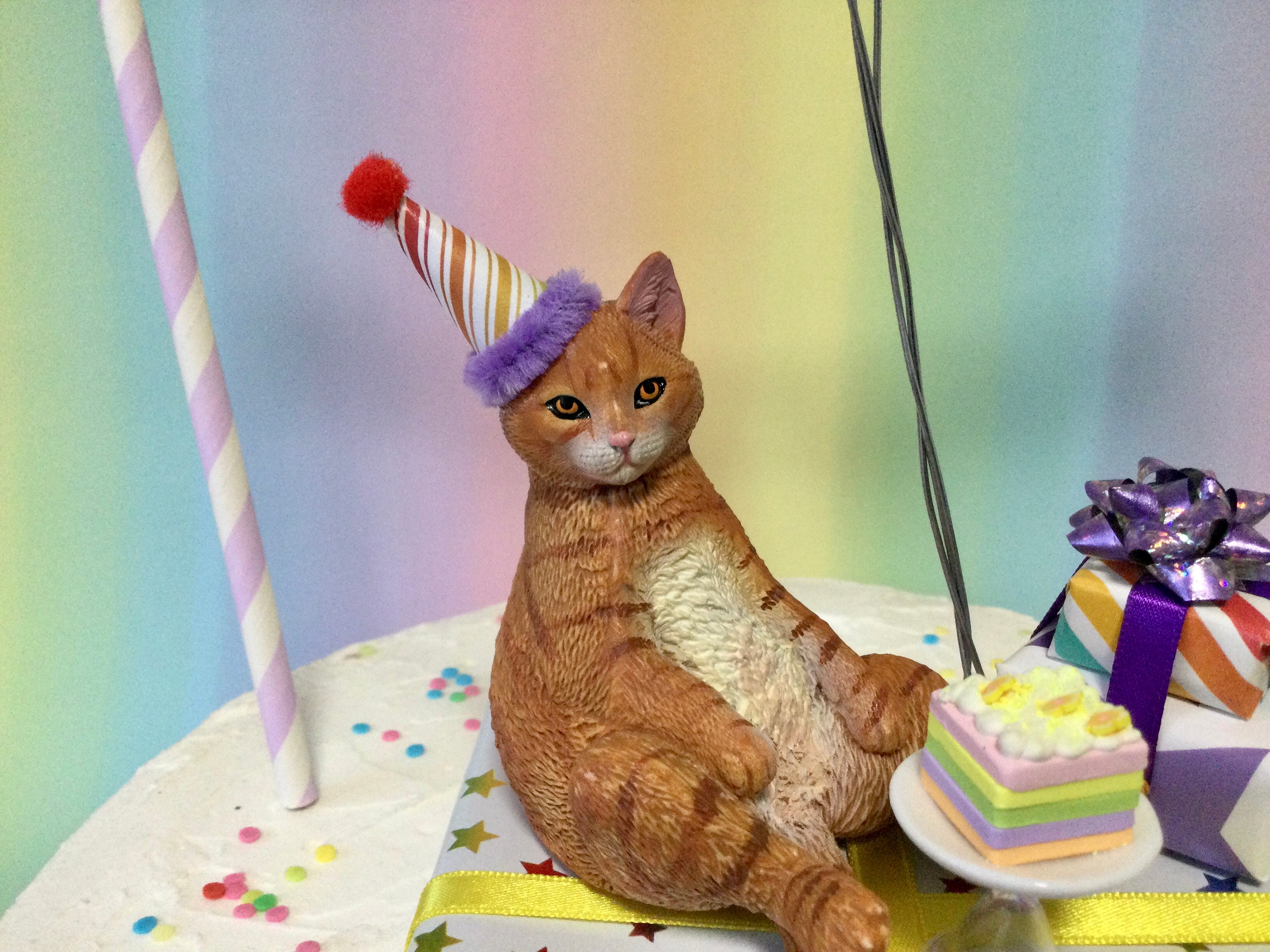 Grumpy Cat Cake Topper Cat Party” Cake For My Mom's Cat Auction