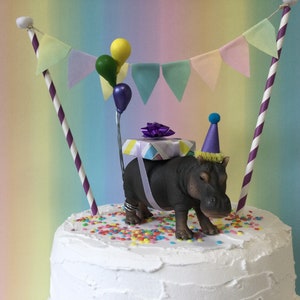 Hippo Cake Topper Party Animal Cake Topper With Balloons Present Stacks ...