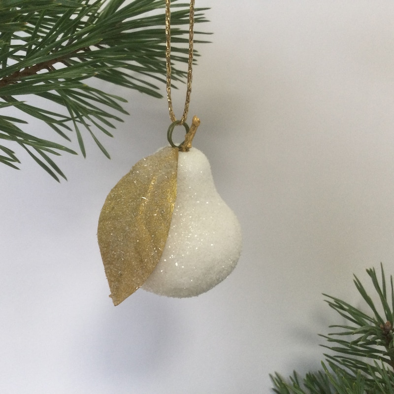 Sugared Fruit - Etsy