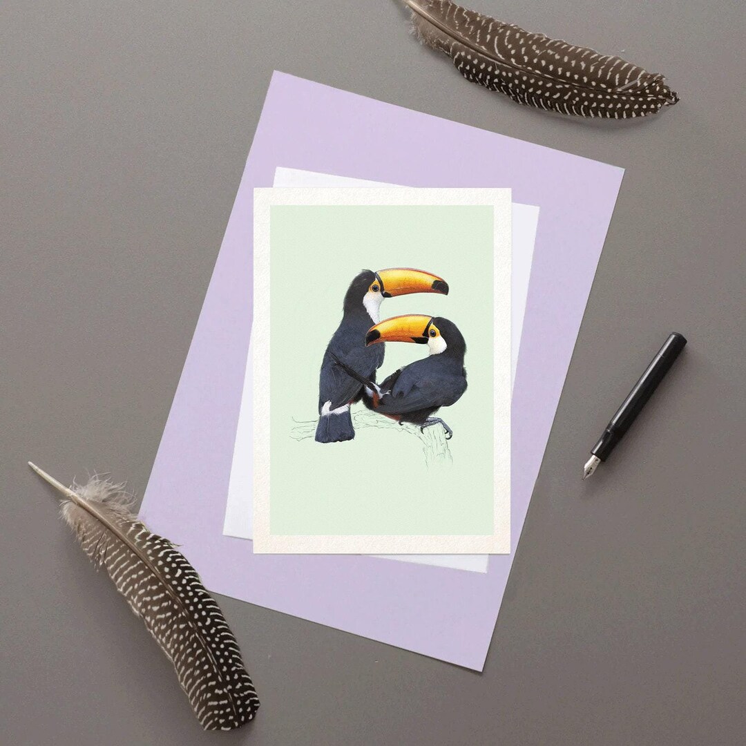 Toco Toucan Greetings Card | Toucan Card | Love Birds | Romance Cards ...