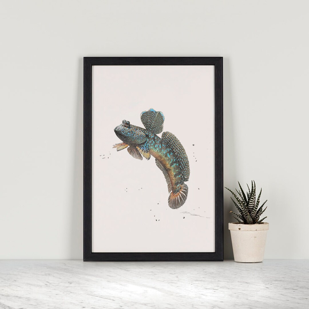 Great Blue Spotted Mudskipper Marine Wildlife Illustration - Etsy