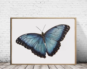 Blue Morpho Butterfly Single Contemporary Metal Wall Decor - Etsy