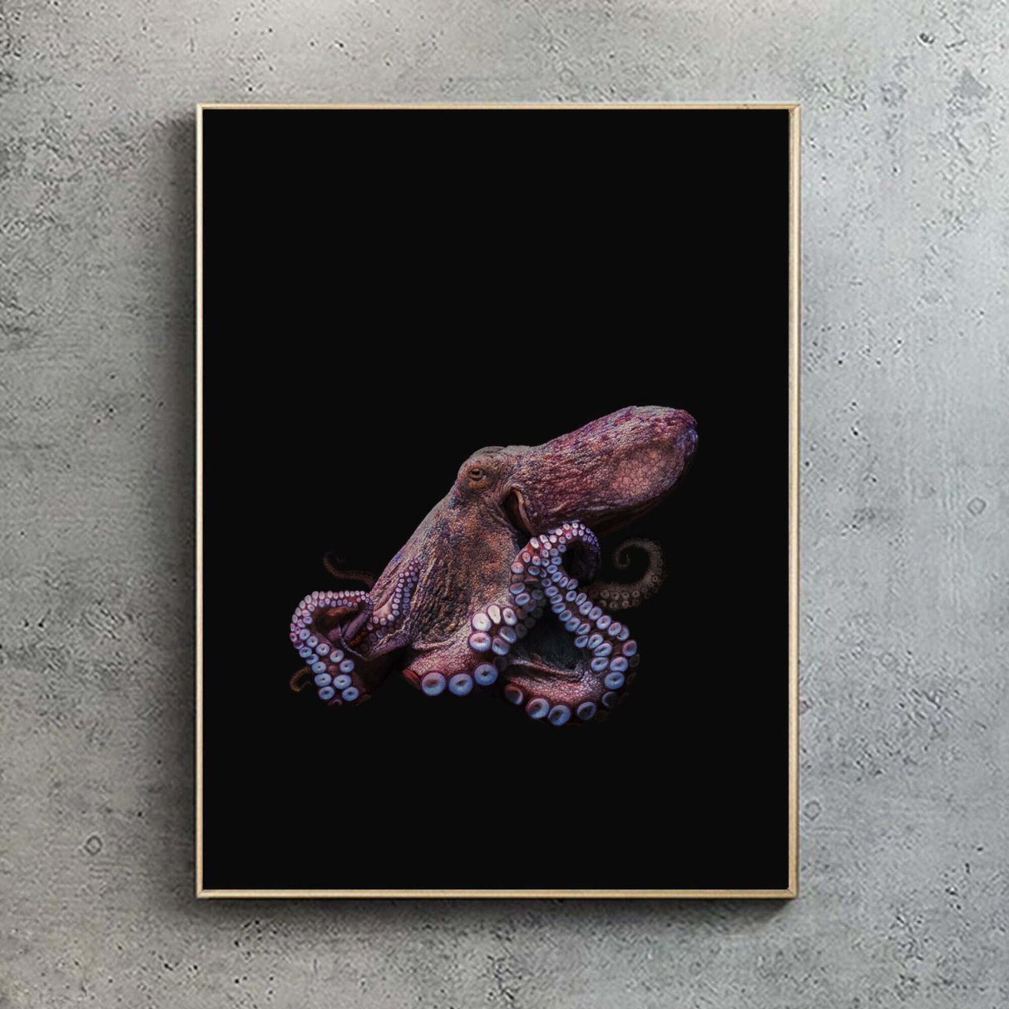 Octopus Black Edition Sea Life Marine Illustration Signed Giclée Print ...