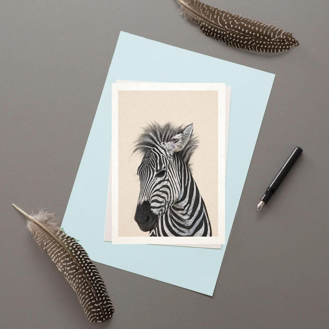Plains Zebra Greetings Card | Wildlife Greeting Card | Wild Animal Card ...