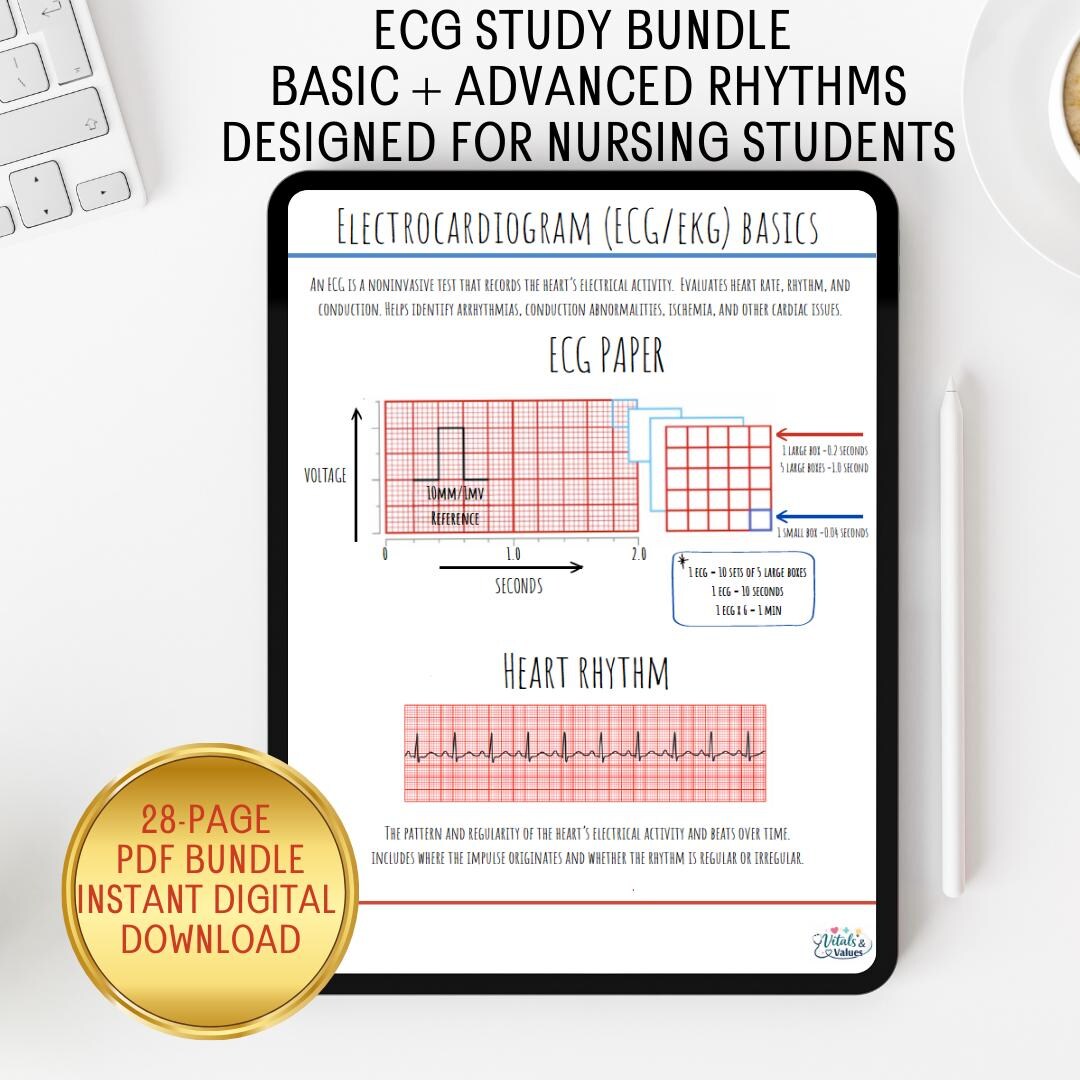 ECG Study Guide Bundle | Basic to Advanced Rhythms (PDF Download) - Etsy