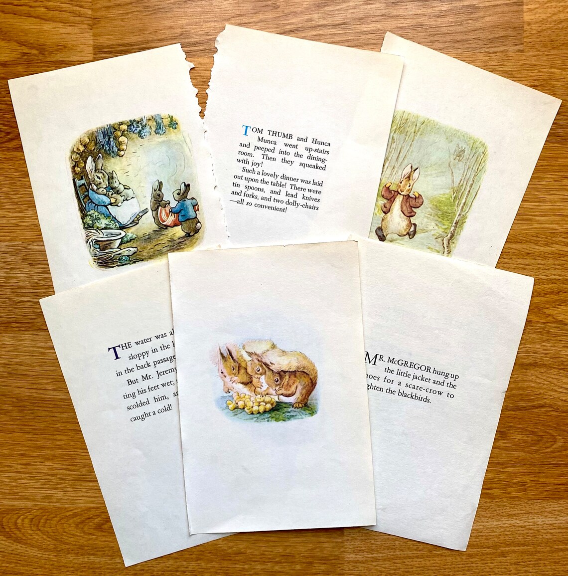 Beatrix Potter Ephemera Pack, 6 Pages, Illustrations & Text, Vintage ...