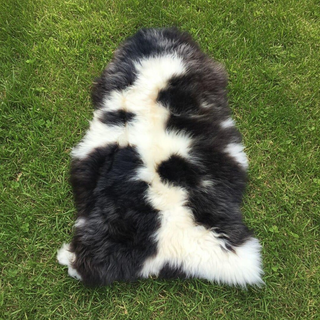 Genuine Black White Sheepskin Rug, Natural Fluffy Wool, Scandinavian ...