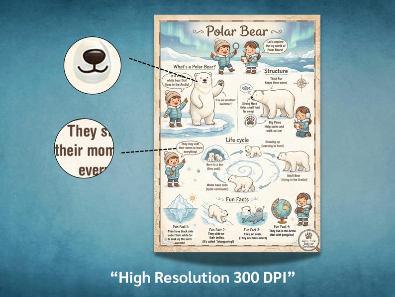 Polar Bear Printable Poster for Kids | Arctic Animal Facts Chart ...