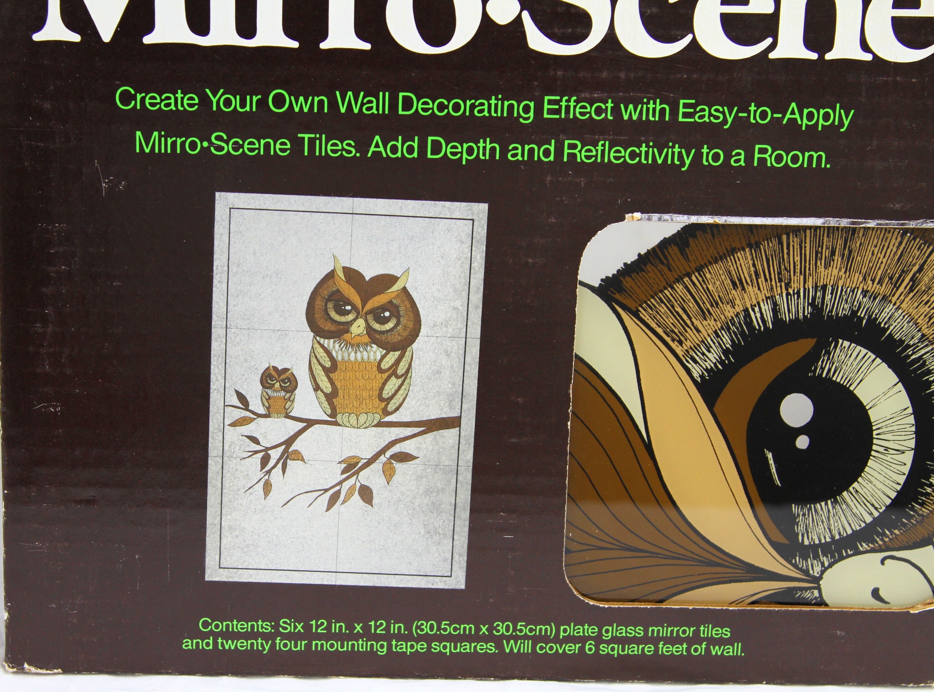 Vintage Owl Mirror - 24 in X 36 in - Hoyne Mirro-scene - 556 Wise Old ...