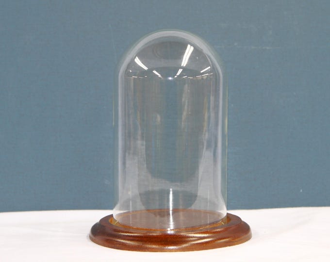 Dome Glass Display Case - 6.5" Tall - Cloche Wood Base Glass Case ...