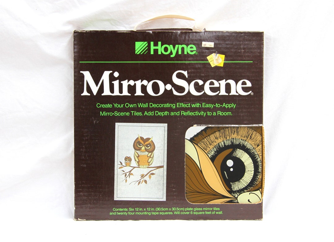 Vintage Owl Mirror - 24 in X 36 in - Hoyne Mirro-scene - 556 Wise Old ...